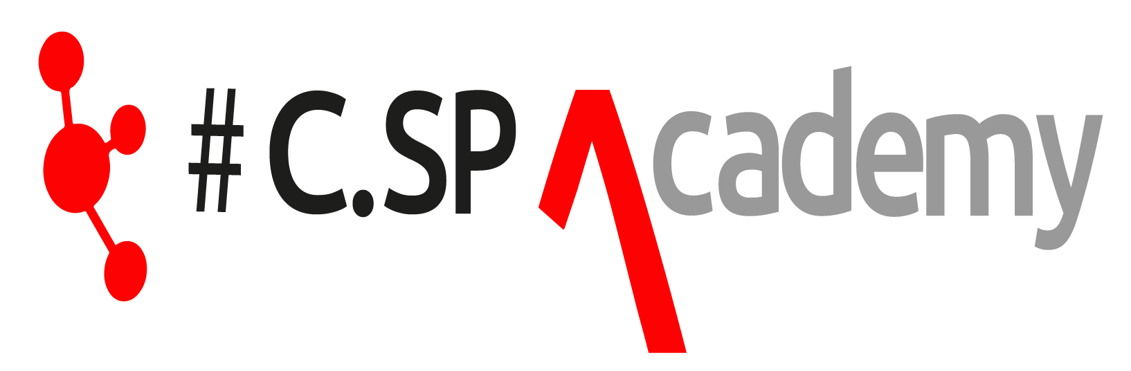 Webinar Custom 7 maggio 2025 - CSP Academy - CSP Network